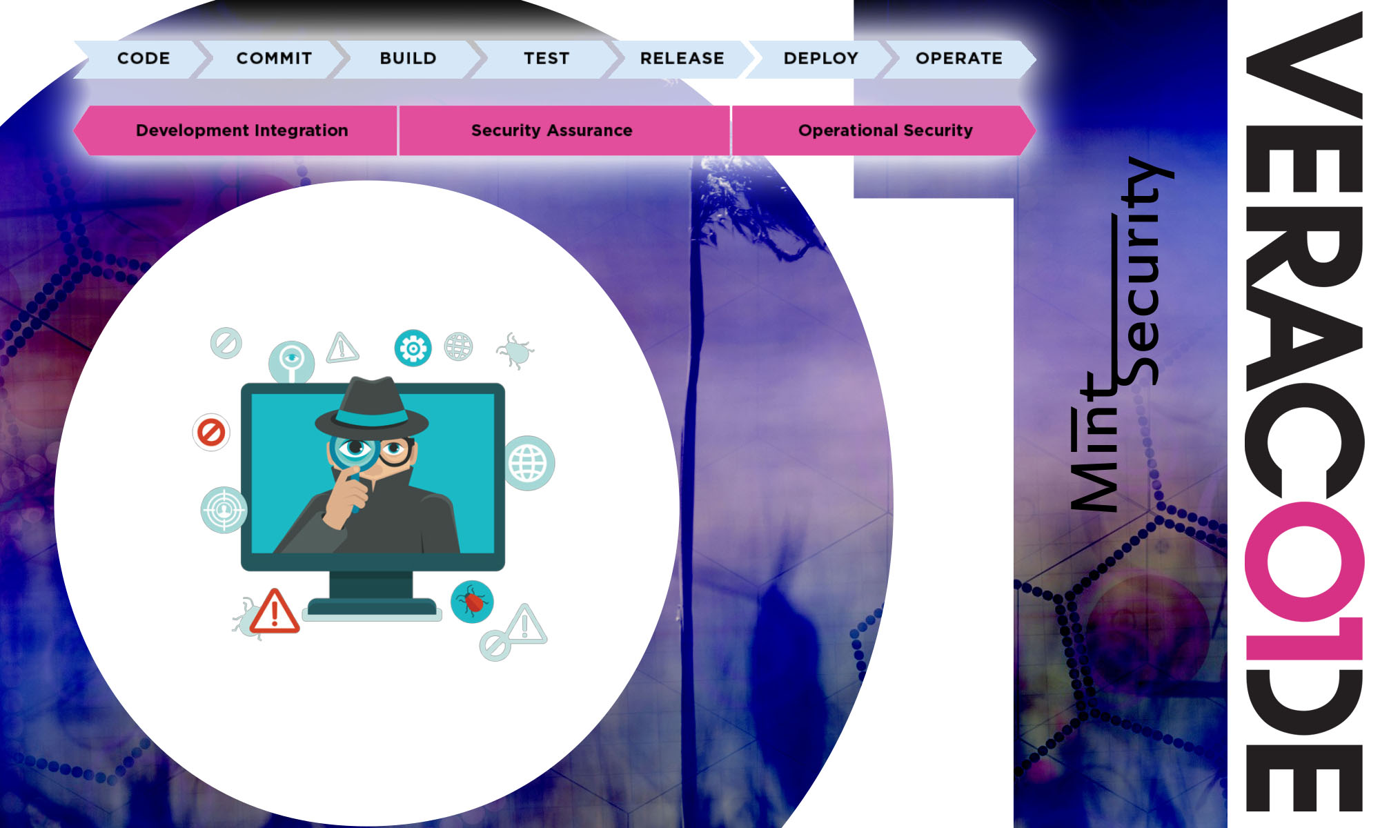 Mint Security - Veracode