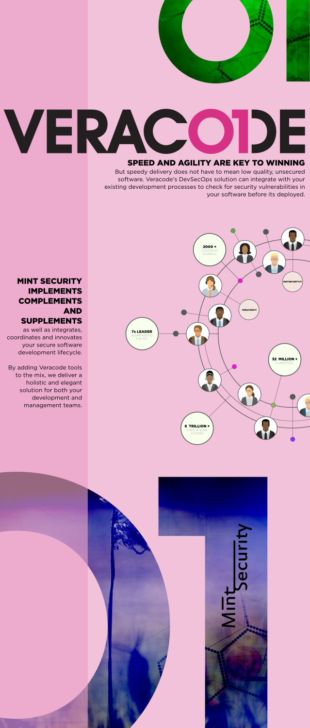 Mint Security - Veracode